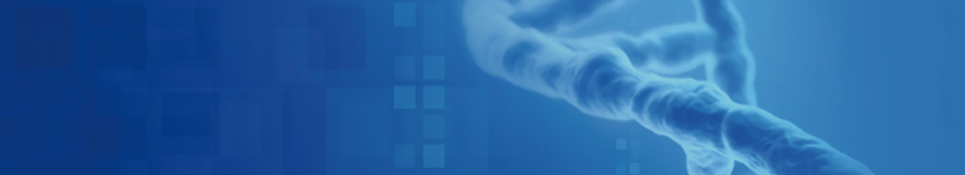 DL5000 DNA Marker -上海泊朗生物技术有限公司