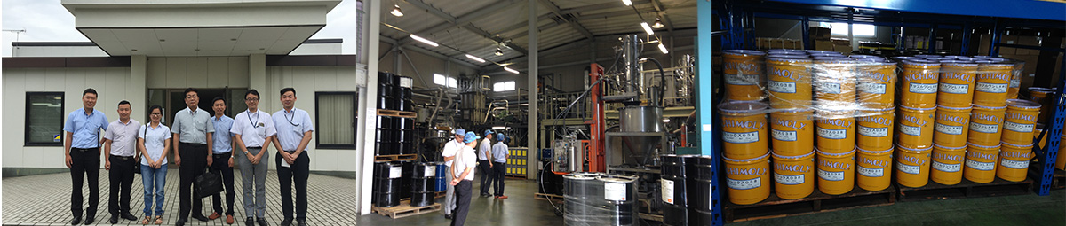 DAIZO NICHIMOLY中国区域总代理商原装正品大量现货供应。