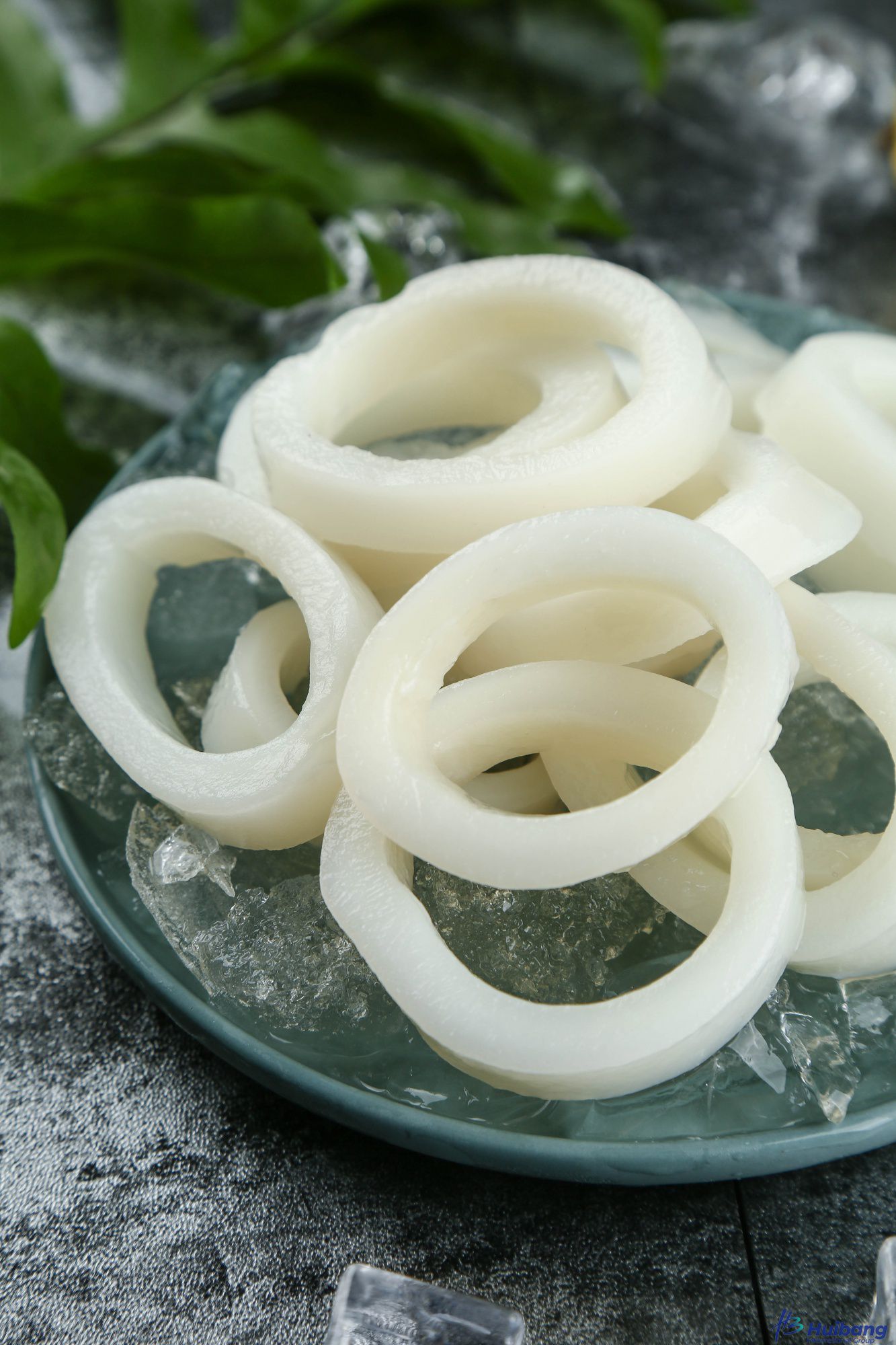 SQUID RING